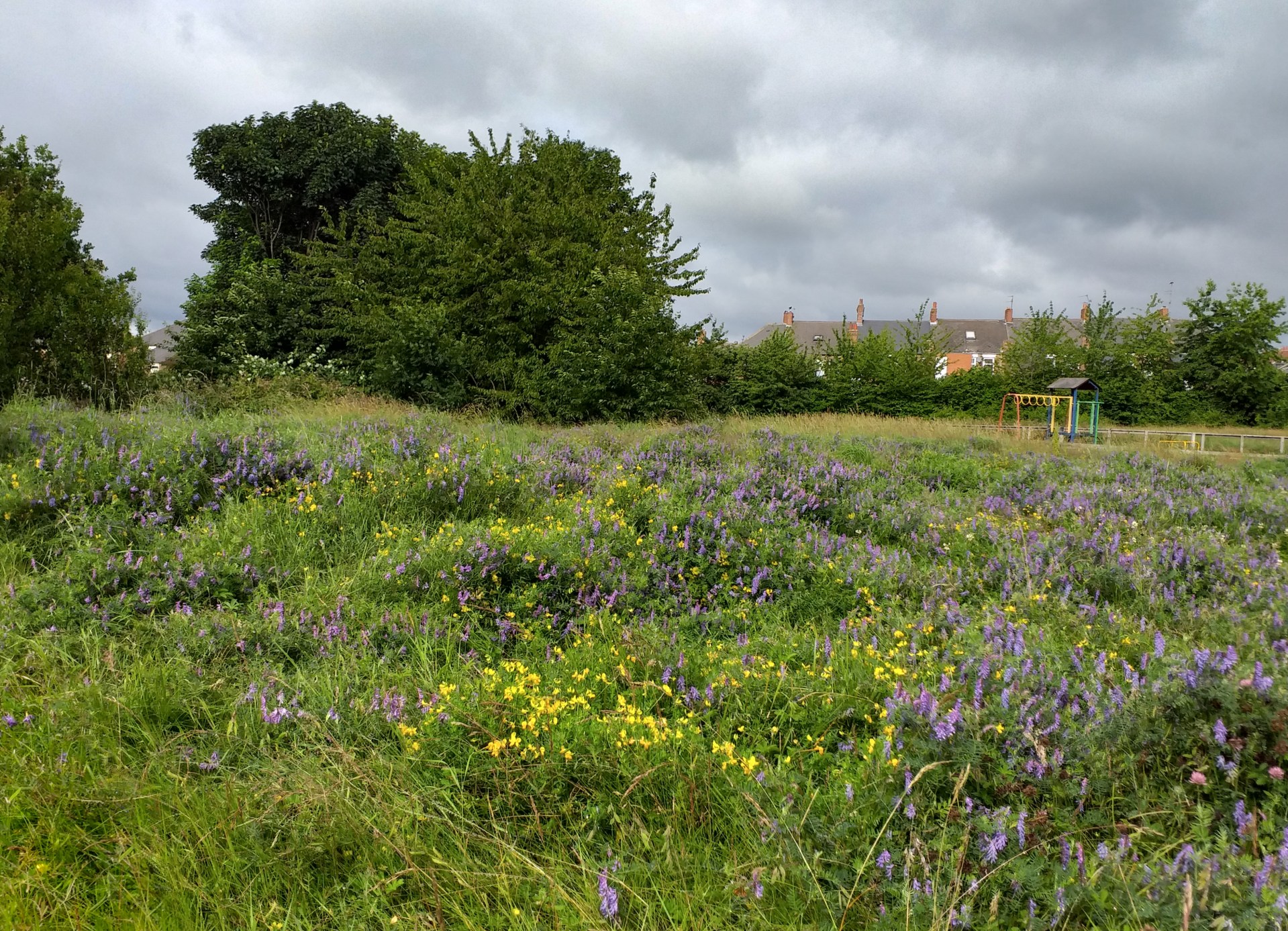 Trfihi Parks Parks Iris Brickfield