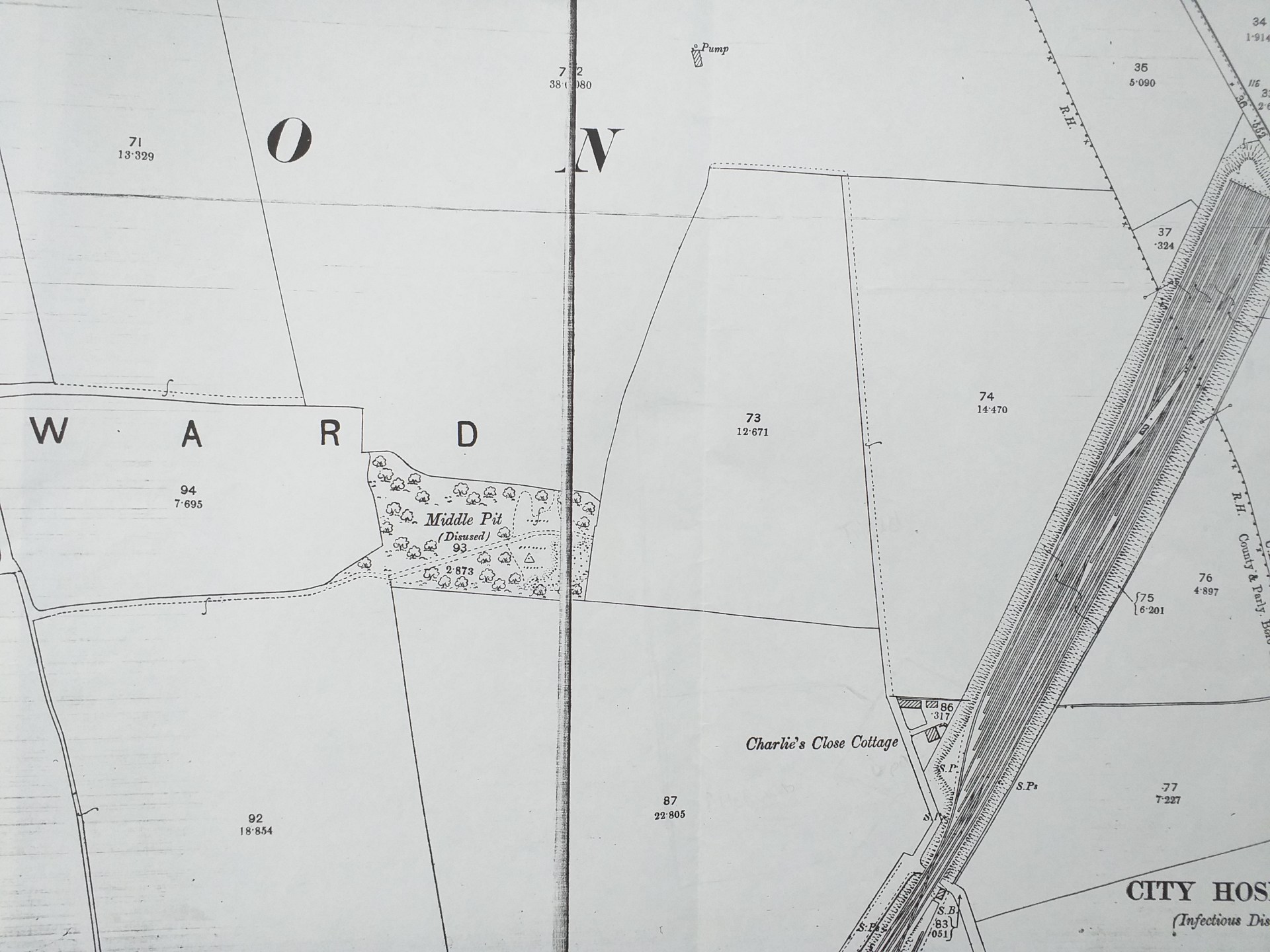 Bricks and Water: a history of Iris Brickfield Park - Heaton History Group