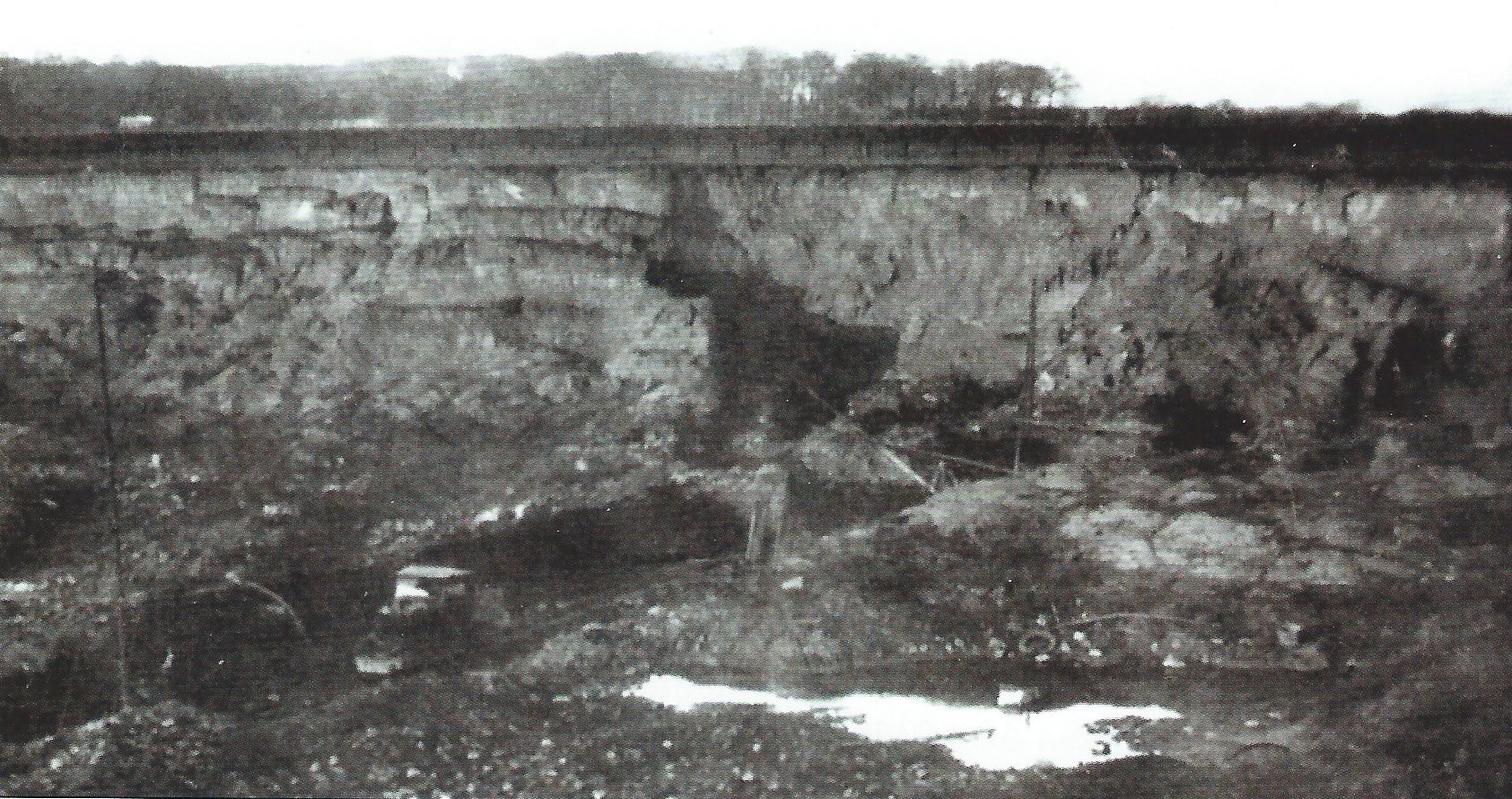 Bricks and Water: a history of Iris Brickfield Park - Heaton History Group